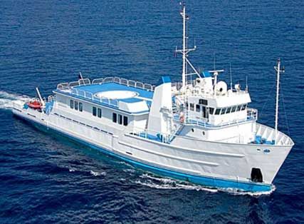 Amevi Surprise sold by Ocean Independence